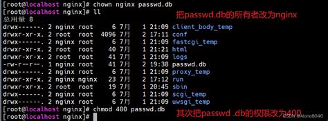 nginx的vim nf配置文件内容详解及实验，nginx的优化和防盗链 csdn博客