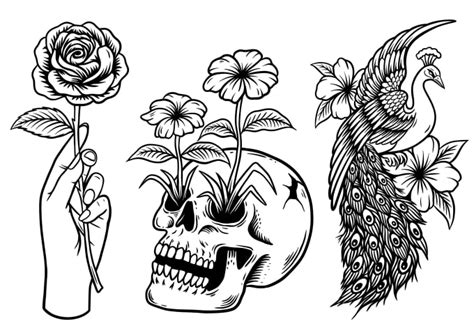 draw unique line art illustration for all your needs by thegarapan fiverr