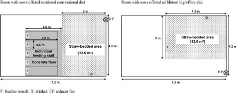 Plan Of The Experimental Rooms Download Scientific Diagram