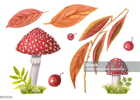 녹색 잔디와 단풍과 열매에 두 개의 수채화 레드 캡 의 세트는 Agarics를 비행 손으로 그린 유독 버섯과 흰색에 고립 된