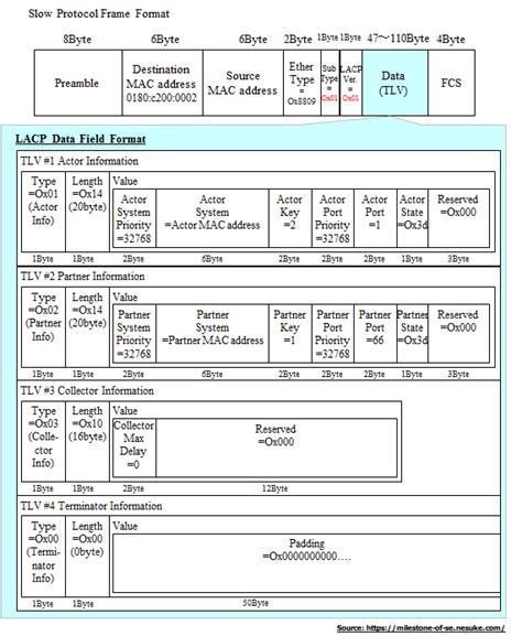 LACP Port Channel Explained Link Aggregation Deep Dive Learn Duty