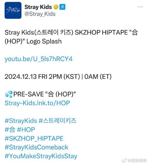 Stray错误是什么？如何快速解决与修复 Hcrm博客