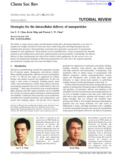Pdf Cheminform Abstract Strategies For The Intracellular Delivery Of Nanoparticles