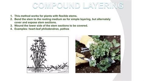 Layering Propagation Pptx