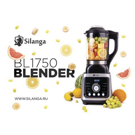 Обзор реальных возможностей блендера Silanga BL1750 GLA на сайте