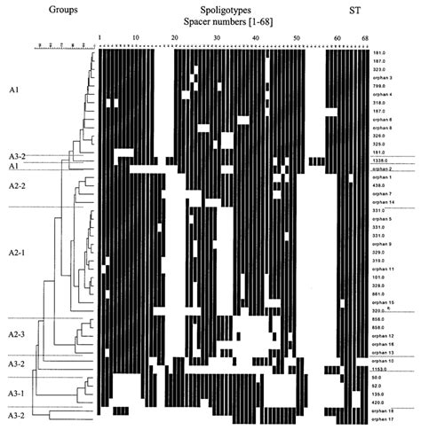 Dendrogram And Schematic Representation Of Spoligotype Patterns Download Scientific Diagram