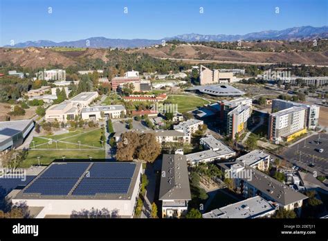 Poly' hi-res stock photography and images - Alamy