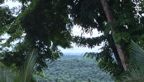 Beau Portrait De Benjamin Ware De Chez Nestlé