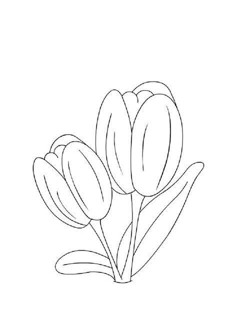 Piccoli Tulipani Da Colorare Scarica Stampa O Colora Subito Online