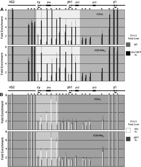 Histone Modifications Within The ␤ Globin Locus In Definitive