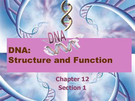 DNA: Structure and Function - ppt download