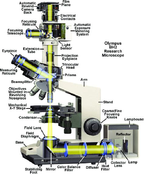 Microscoop Diagram
