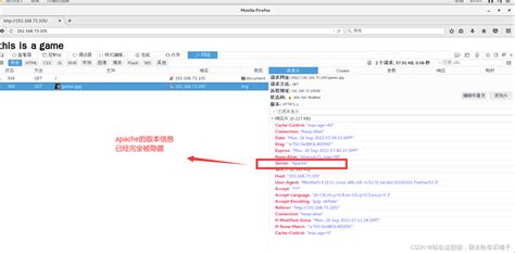 Apache网页的优化，安全与防盗链安全技术措施apache Csdn博客