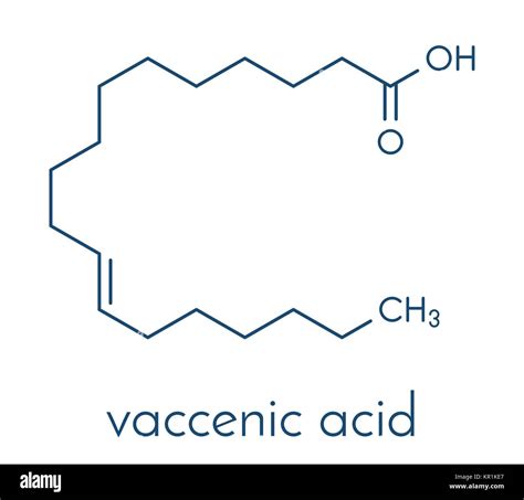 Trans Fatty Acids Structure