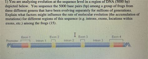 Solved 1 You Are Analyzing Evolution At The Sequence Level