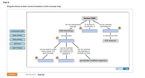 Build An Atom Concept Map Chartdevelopment