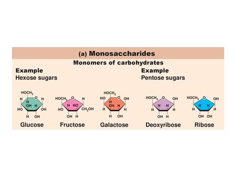 The Molecules Of Cells Chapter Three Ppt Download