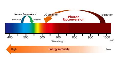 Solving The Problems Of Biofluorescence Imaging With Photon Upconversion Olympus Ls