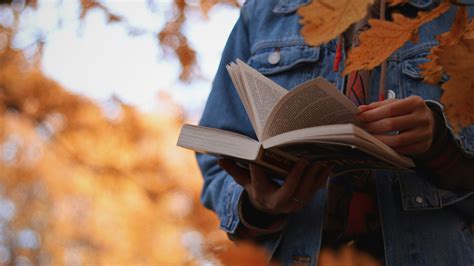 Thorsteinn Einarsson Einfach Ehrlich Die Oberösterreicherin