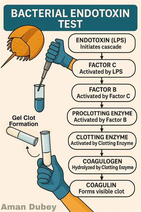 What Is The Bacterial Endotoxin Test Aman Dubey Posted On The Topic