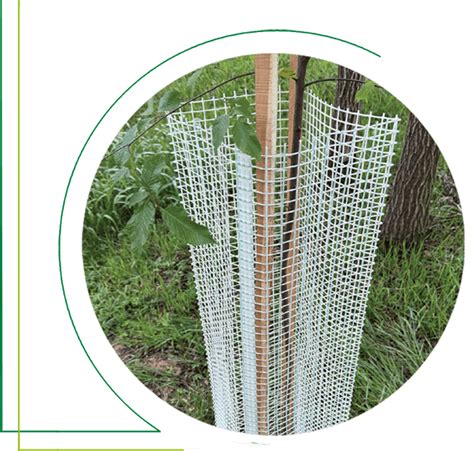 Forest Pro Bio Foreste