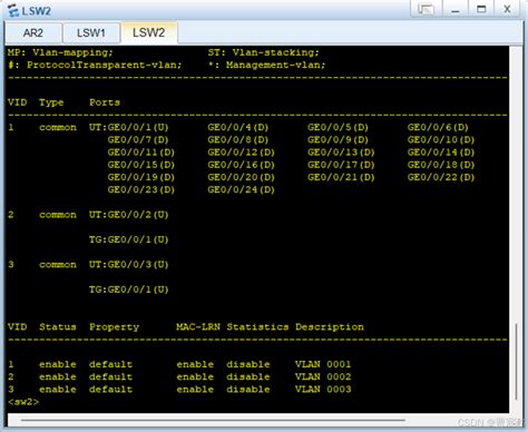 vlan实验作业 csdn博客