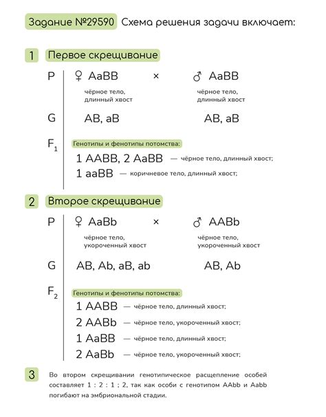 Задание №29590 Длина хвоста у мышей контролируется геном который в доминантном гомозиготном