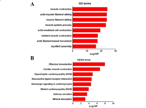Functional Enrichment Results Of Differentially Expressed Genes A Top