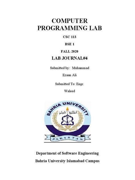 Computer Programming Lab 04 Pdf Software Development Software