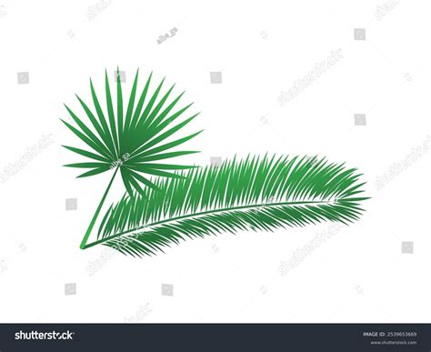 Green Leaves Nipa Palm Mangrove Palm Stock Vector Royalty Free 2539653669 Shutterstock