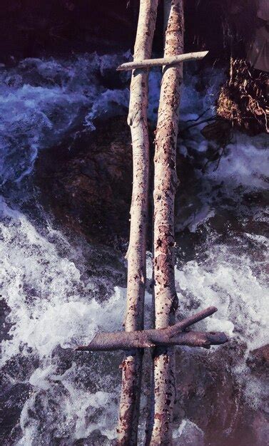 Premium Photo Two Tree Trunks Are Standing In A River One Of Which