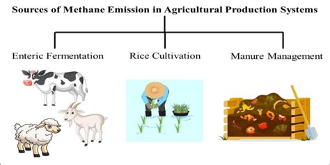 Various Agricultural Sources Of Methane Emission Strategies For Download Scientific Diagram