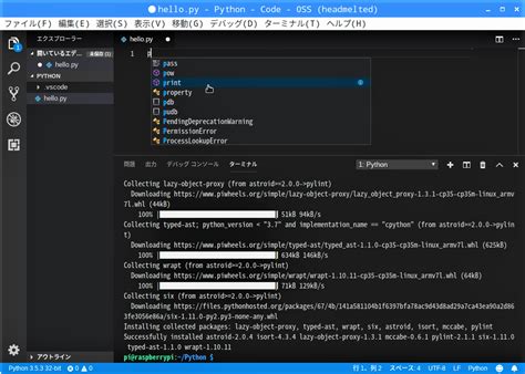 Vscode Python 定義へ移動 draconiansuppo