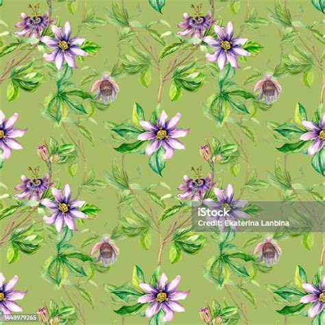 열정 꽃 식물 수채화 매끄러운 패턴은 녹색에 격리되어 있습니다 건강관리와 의술에 대한 스톡 벡터 아트 및 기타 이미지 건강관리와 의술 꽃 나무 꽃 꽃의 구조 Istock