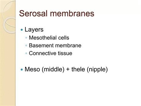 Mesothelial Hyperplasia Pptx