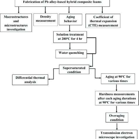 Schematic Diagram Of The Experimental Procedures Download Scientific