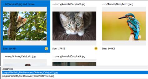 Autopsy User Documentation File Discovery
