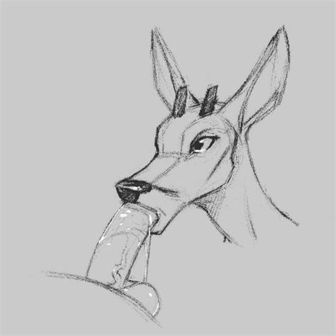Rule 34 Ambiguous Gender Animated Cervine Deer Erection Fellatio