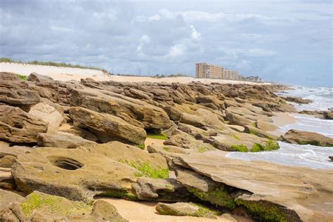 Washington Oaks State Park — Lemonhearted