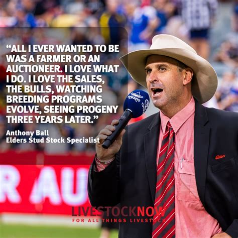 Elders Limited Dive Into Simon Quiltys Analysis Of The Facebook