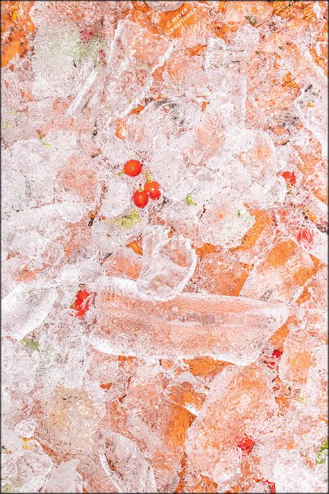 Cubism Or Ice Cube Ism Portraits Of Wildflowers