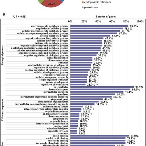 Subcellular Localization And Go Analysis Of 100 Differentially