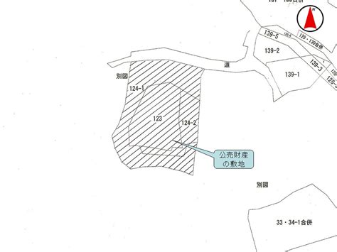 画像詳細｜公売情報