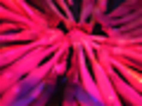 Sex In London Sex Events Parties And Workshops In London