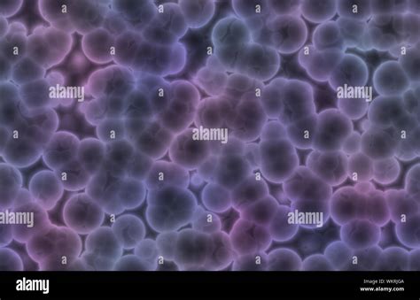 Medical Science Bacteria Virus As A Abstract Stock Photo Alamy