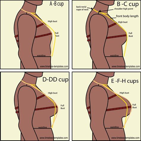 Full D Cup Breast Size