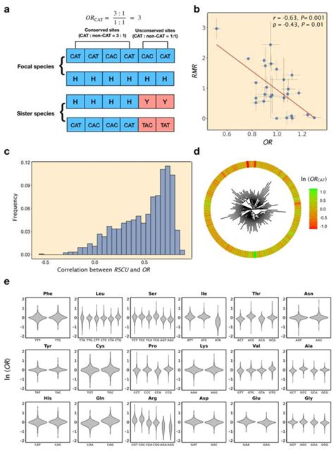 Variation Of Relative Translational Accuracies Of Synonymous Codons Download Scientific Diagram