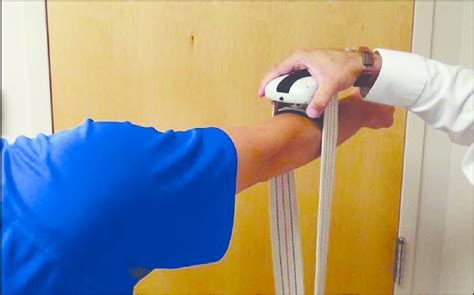 Isometric Strength Testing Download Scientific Diagram