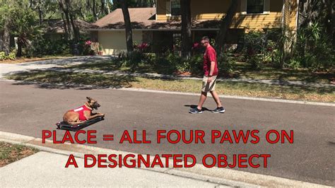 Demo Commands Youtube