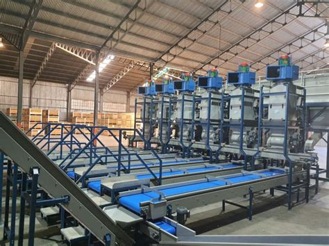 Qualipak Pty Ltd On Linkedin Pecan Nut Size Grading Line Complete